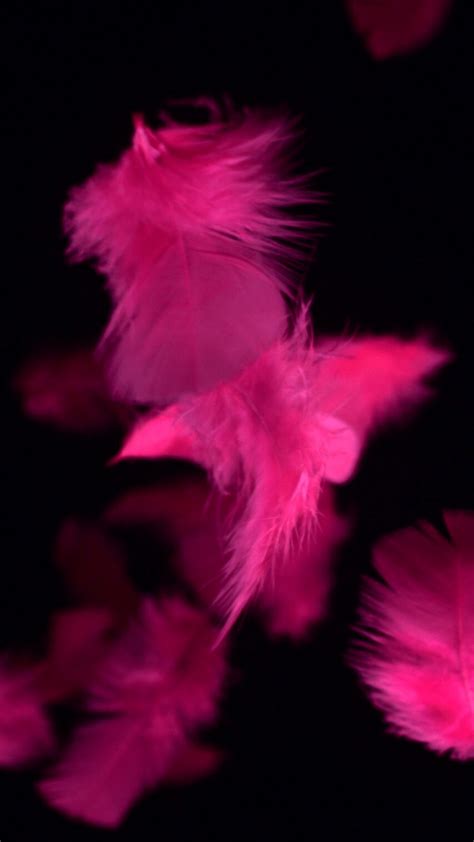 Oppo F Wallpapers Top Free Oppo F Backgrounds Wallpaperaccess