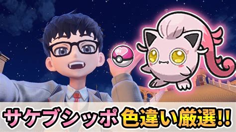 【ラブラブボール】サケブシッポ色違い厳選【ポケモンsv】 Youtube