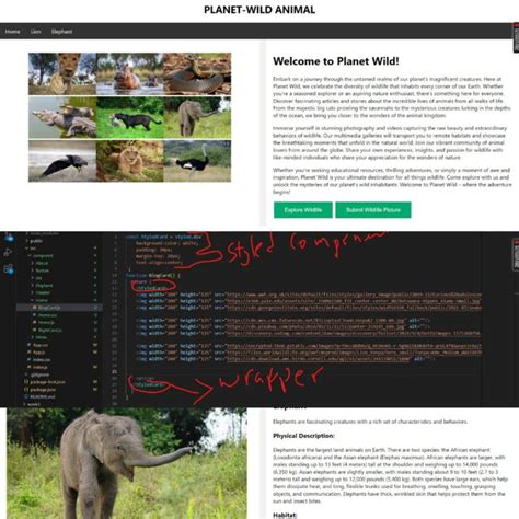 Ifeanyichukwu Ojo On Linkedin Reactjs React Week2summary Graeseed