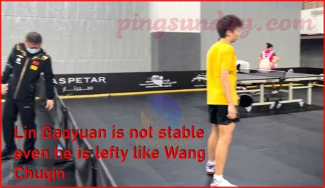 Some Updated News About Wang Chuqin Pingsunday
