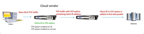 Client Ip Address In Tcp Option Netscaler 141