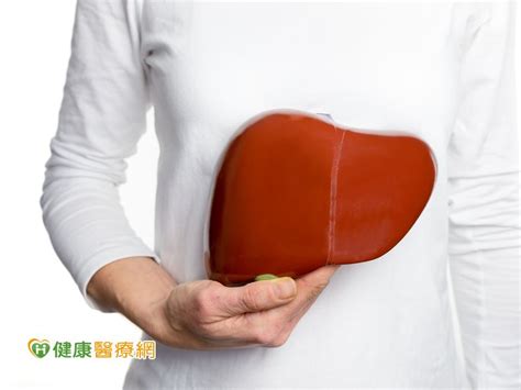 24歲罹肝癌 無b、c肝罕見病例 健康醫療網 健康養生新聞資訊網路媒體