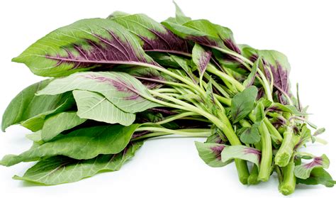Produce Explained 9 Leafy Vegetables To Know—from Kailan To Kale