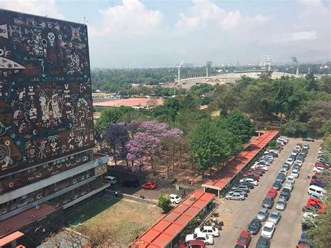 Cómo tomar los cursos gratuitos de la UNAM en inglés italiano y francés Infobae