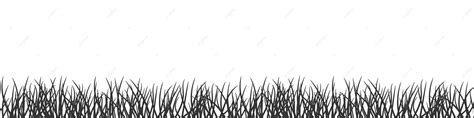 Black Grass On White Background Blade Meadow Isolated Vector Blade Meadow Isolated