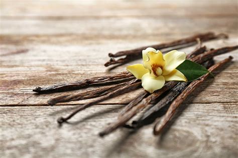 Conoce Todo Sobre La Vainilla Un Fragante Ingrediente Mexicano