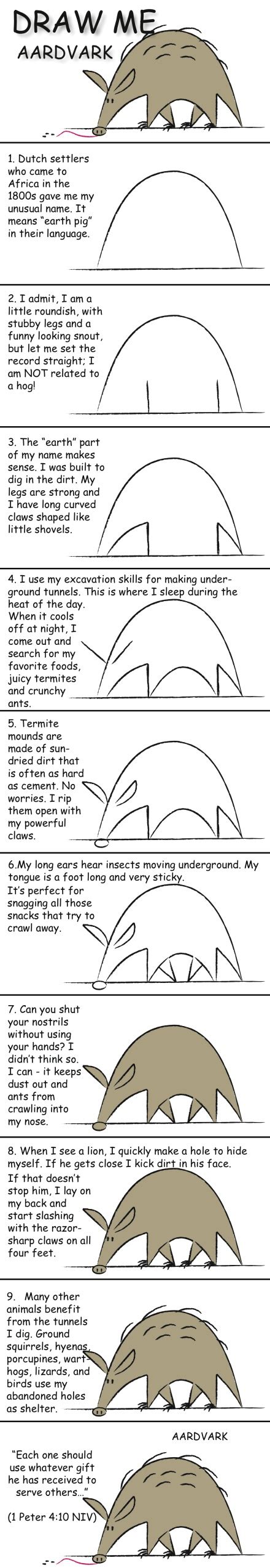 Draw And Learn AARDVARK Easy Drawings Draw Drawings