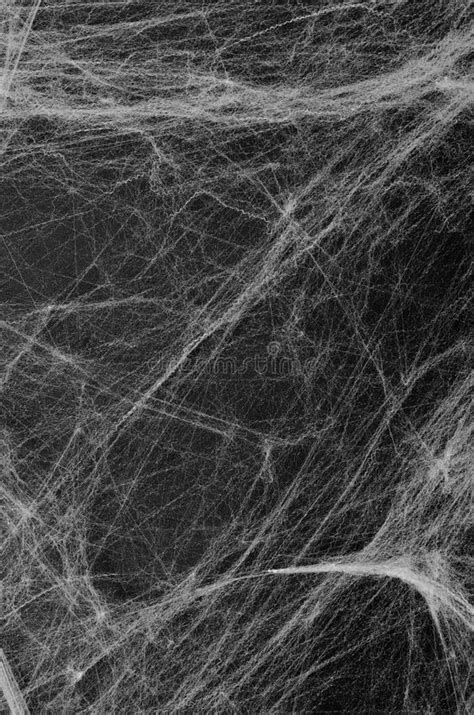 Cobweb On Black Background Abstract Texture Halloween Design Spider Web Texture Stock Image