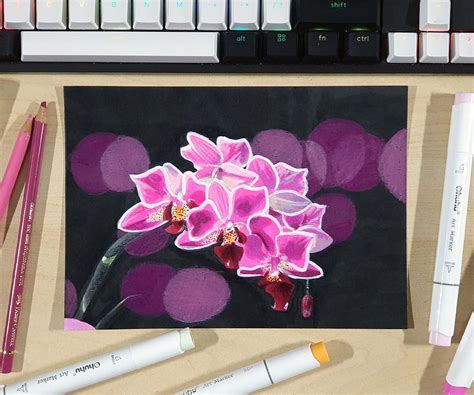 Orchid Flower Color Drawing