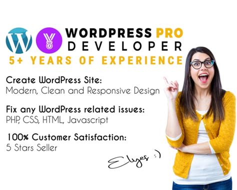 Customize Fix Or Build Your Wordpress Website By Elyesattaallah Fiverr