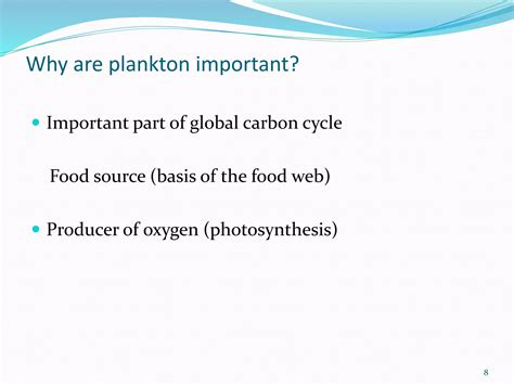 Plankton Isolation Classification Pptx
