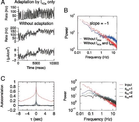Figure 1 From Neurons In The Primary Visual Cortex Adaptation And Temporal Decorrelation By
