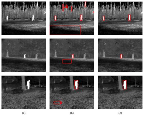A Semi Automatic Motion Constrained Graph Cut Algorithm For Pedestrian Detection In Thermal