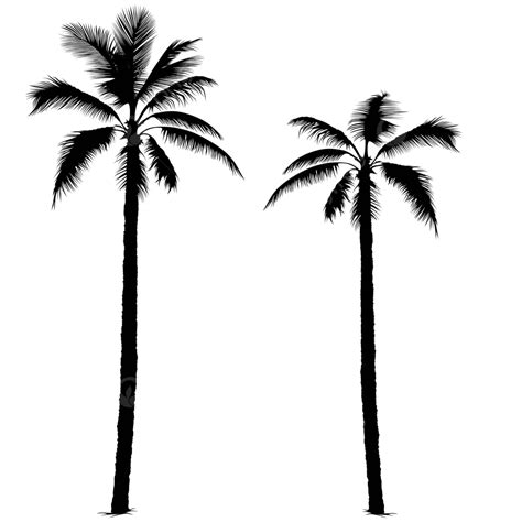 Palm Tree Silhouettes Vector Silhouettes Clip Art Vector Vector