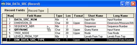 Setting Record Field Properties