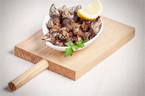 Percebes Marisco