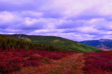 Тусгай хамгаалалттай газарт “Жим” хөтөлбөр хэрэгжүүлнэ