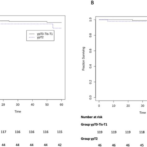 A Kaplan Meier Curve For 5 Year Survival B Kaplan Meier Curve For