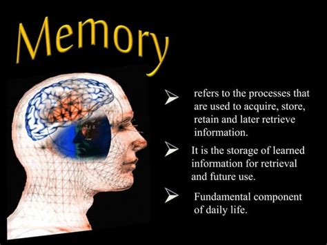 Memory And Forgetting Psychology Ppsx