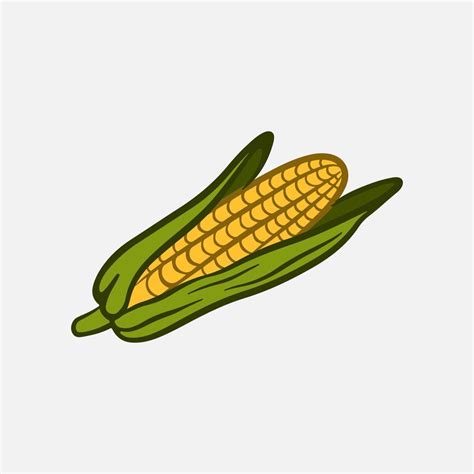 Hand Drawn Corn Clip Art 13973891 Vector Art At Vecteezy