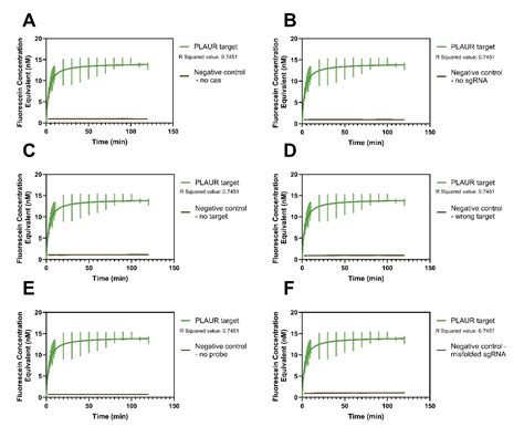 Measurement Exeter Igem 2024