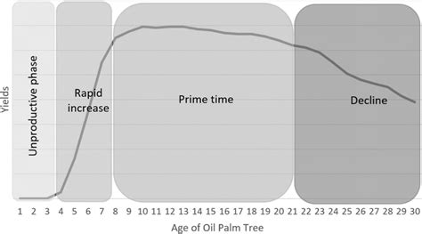 The Productivity Of An Oil Palm Over Time USDA 2012 Download Scientific Diagram