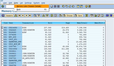 Solved Memorynomorepaging Dump Occurs Frequently Sap Community