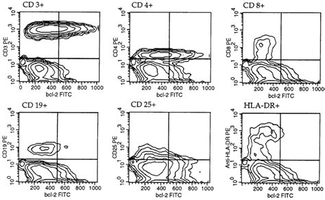 Dual ¯uorescence Contour Blots Of Lymphocytes Of One Representative Ssc Download Scientific