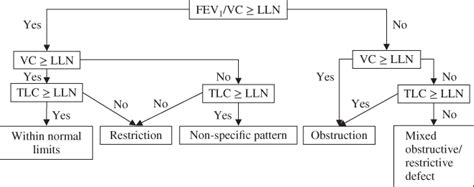 Static Lung Volumes Thoracic Key