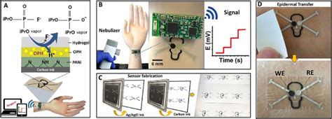 Tattoo Based Biosensor For Detection Of Nerve Biomarkers A