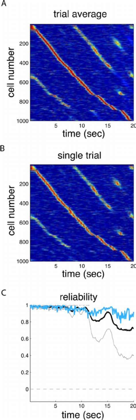 sequential activity is inherited by a second layer via sparse and