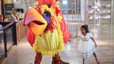 Squawk Walkabout Bird Animals And Creatures Uk