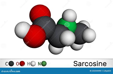 余弦 — 甲基甘氨酸烷基甘氨酸分子 它是沙司康辛酸的氨基酸衍生物共轭酸 库存例证 插画 包括有 回报 代谢产物 232544490