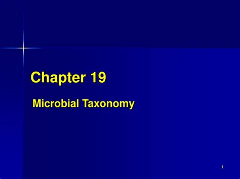 Ppt Chapter 19 Microbial Taxonomy 2 Powerpoint Presentation Free Download Id 3015