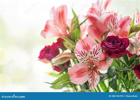 Alstroemeria Flowers A Large Bouquet Of Pink Alstroemerias Stock Image