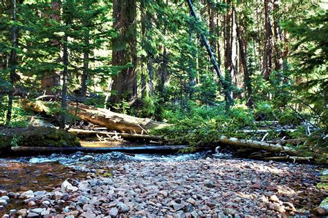 Greenery Photograph By Jordan Fredrickson Pixels