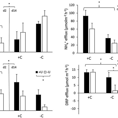 Sediment Oxygen Consumption Soc Net Primary Production Net Pp And Download Scientific