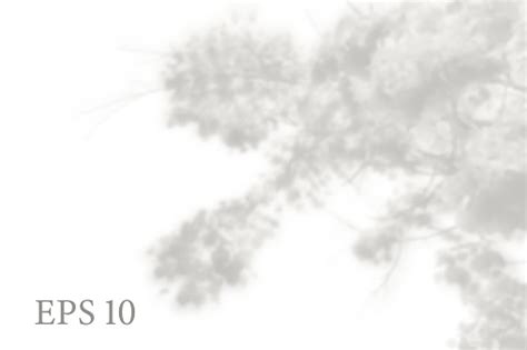 투명 자연 나뭇 가지 그림자 라이트 효과 오버레이 메시 그리드 디자인 카드 포스터 사진 사실적인 일러스트 를 발표 0명에 대한 스톡 벡터 아트 및 기타 이미지 Istock