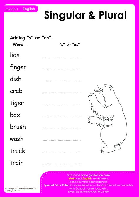 Adding S To Singular Nouns Worksheet Noun Worksheets