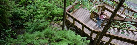 Devils Millhopper New Staircase Florida Hikes
