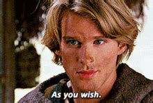 As You Wish S Tenor