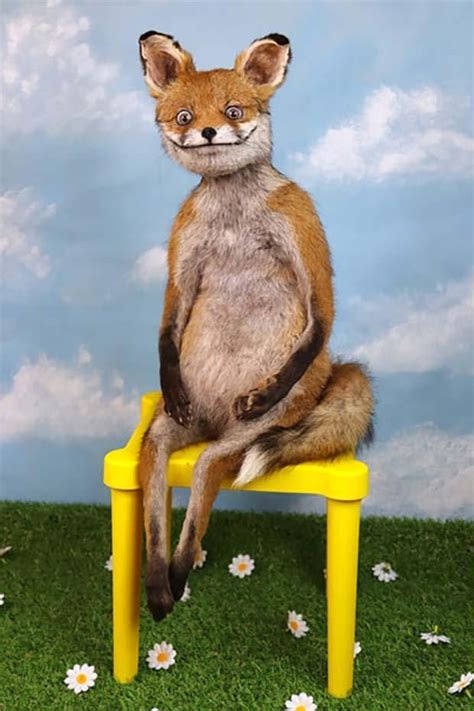 Hilarious Bad Taxidermy By Artist Adele Morse Team Jimmy Joe Bad
