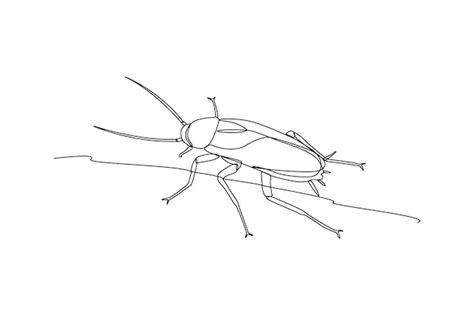 Premium Vector Continuous One Line Drawing Insects Concept Single Line Draw Design Vector