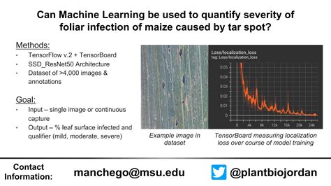 Detection And Quantification Of Tar Spot Foliar Infection In Maize