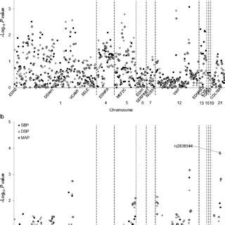 Log P Values For The Association Between Single Nucleotide Download Scientific Diagram