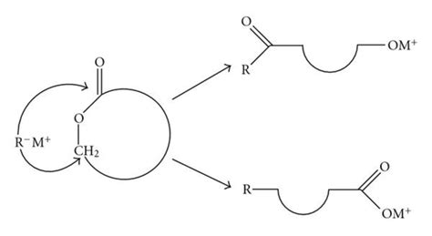 Initiation Of Ring Opening Polymerization Of Lactones By Anionic Download Scientific Diagram
