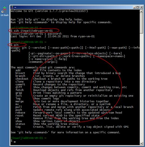 Step By Step Setup Git Server On Windows With Copssh Msysgit And Integrate Git With Visual