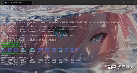推荐几款方便新手学习编程的网站 知乎
