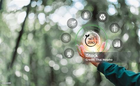 탄소 중립 및 순 제로의 개념 자연 환경 녹색 그물 중심 아이콘과 녹색 배경과 기후 중립적 인 장기 전략 온실 가스 배출 목표