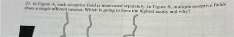 Solved In Figure A ﻿each Receptive Field Is Innervated